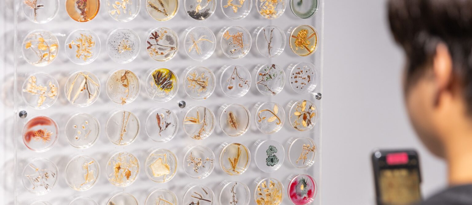 ODC - Intersection of Innovation: Science and Art